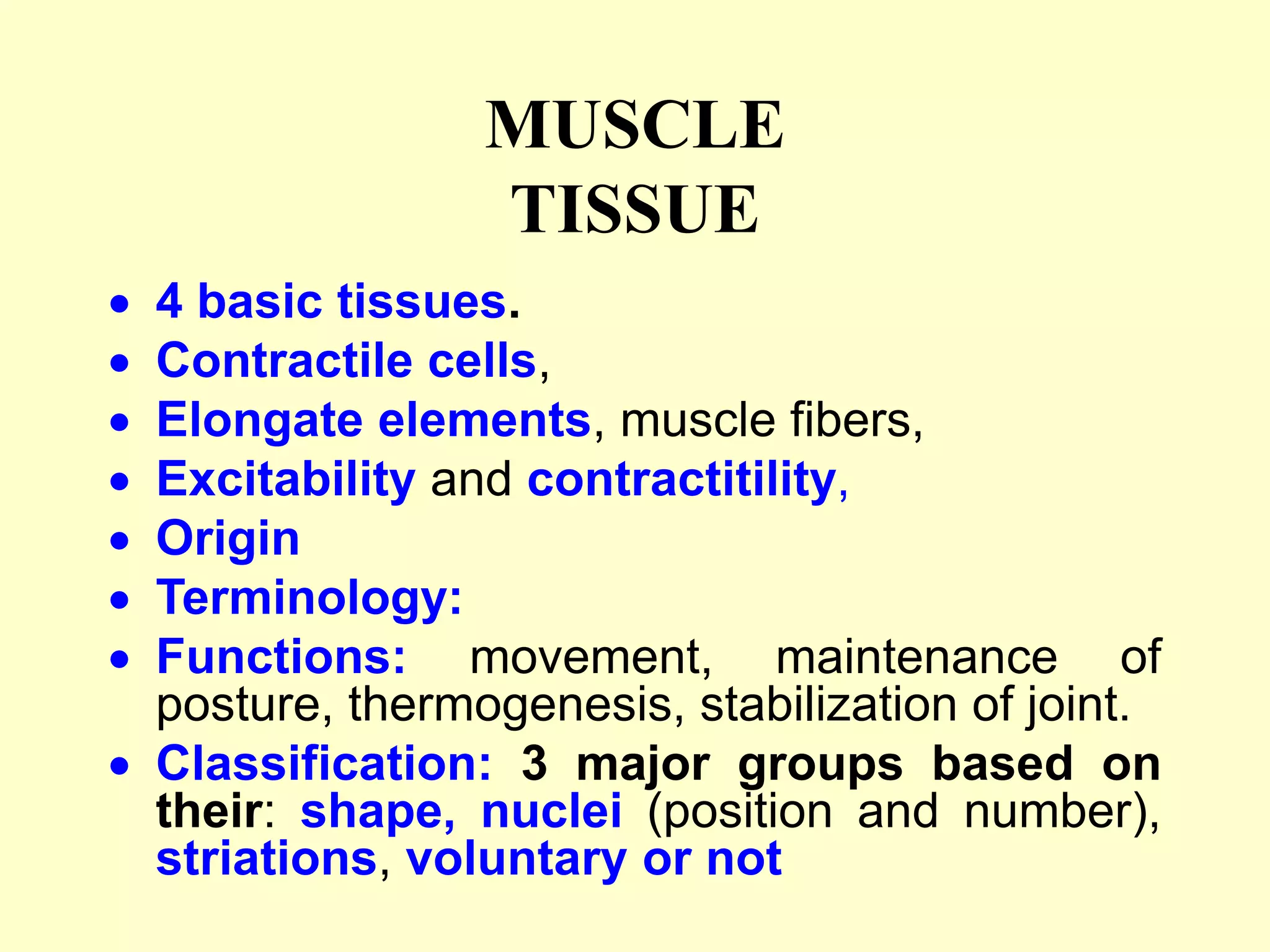 MUSCLE.ppt