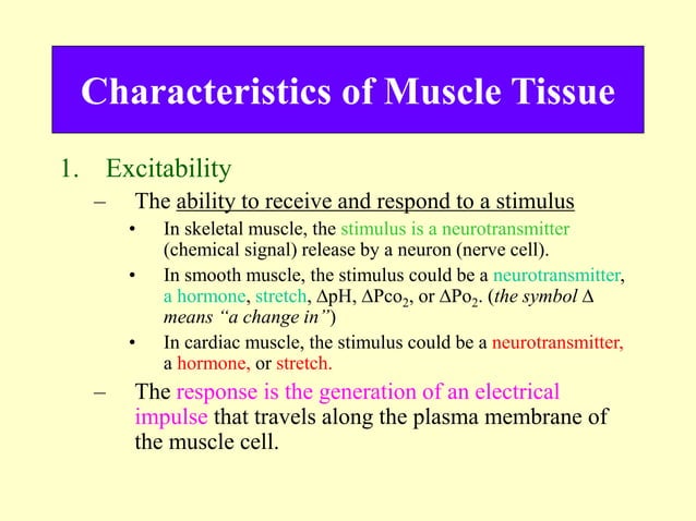 MUSCLE.ppt