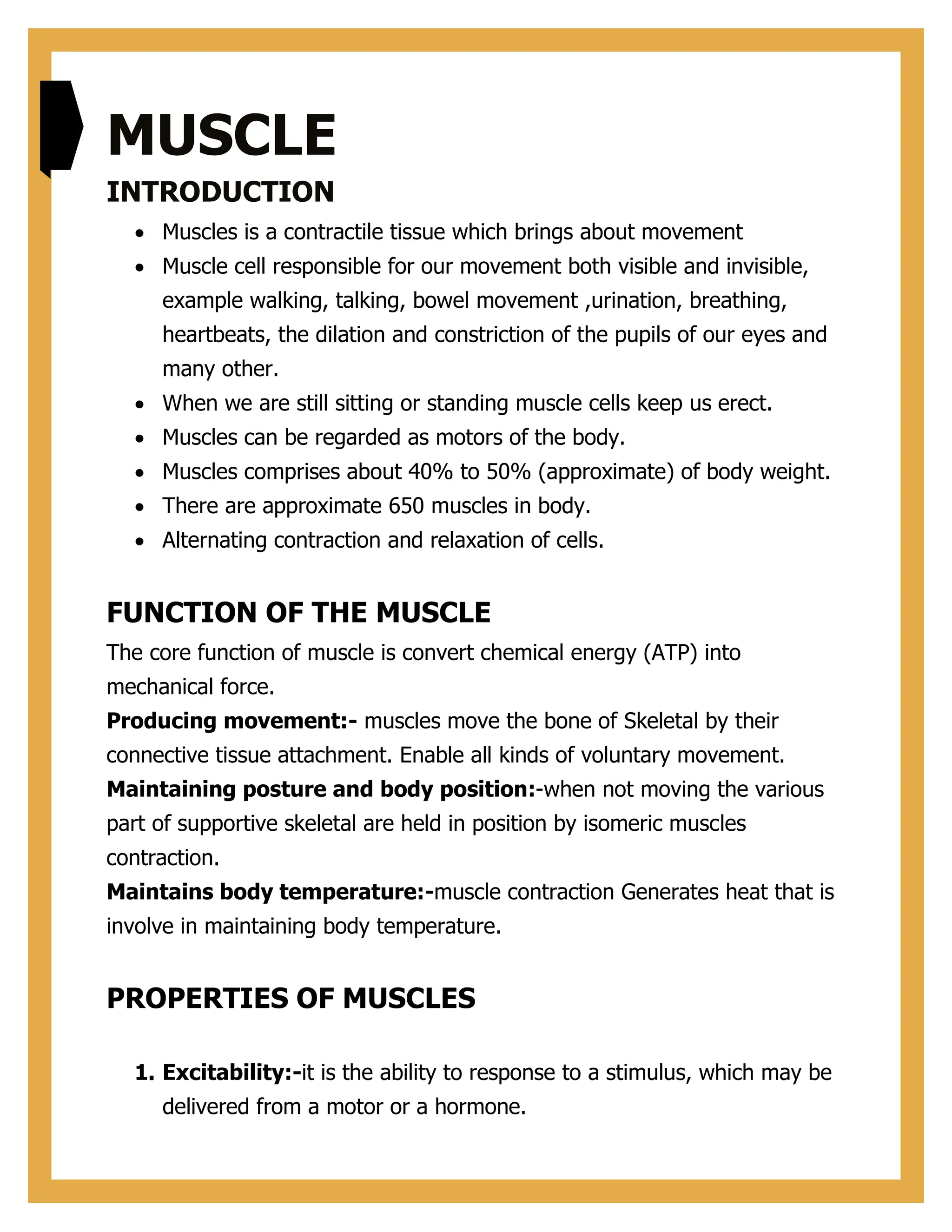 MUSCLE physiology assignment and good notes for exam | DOCX