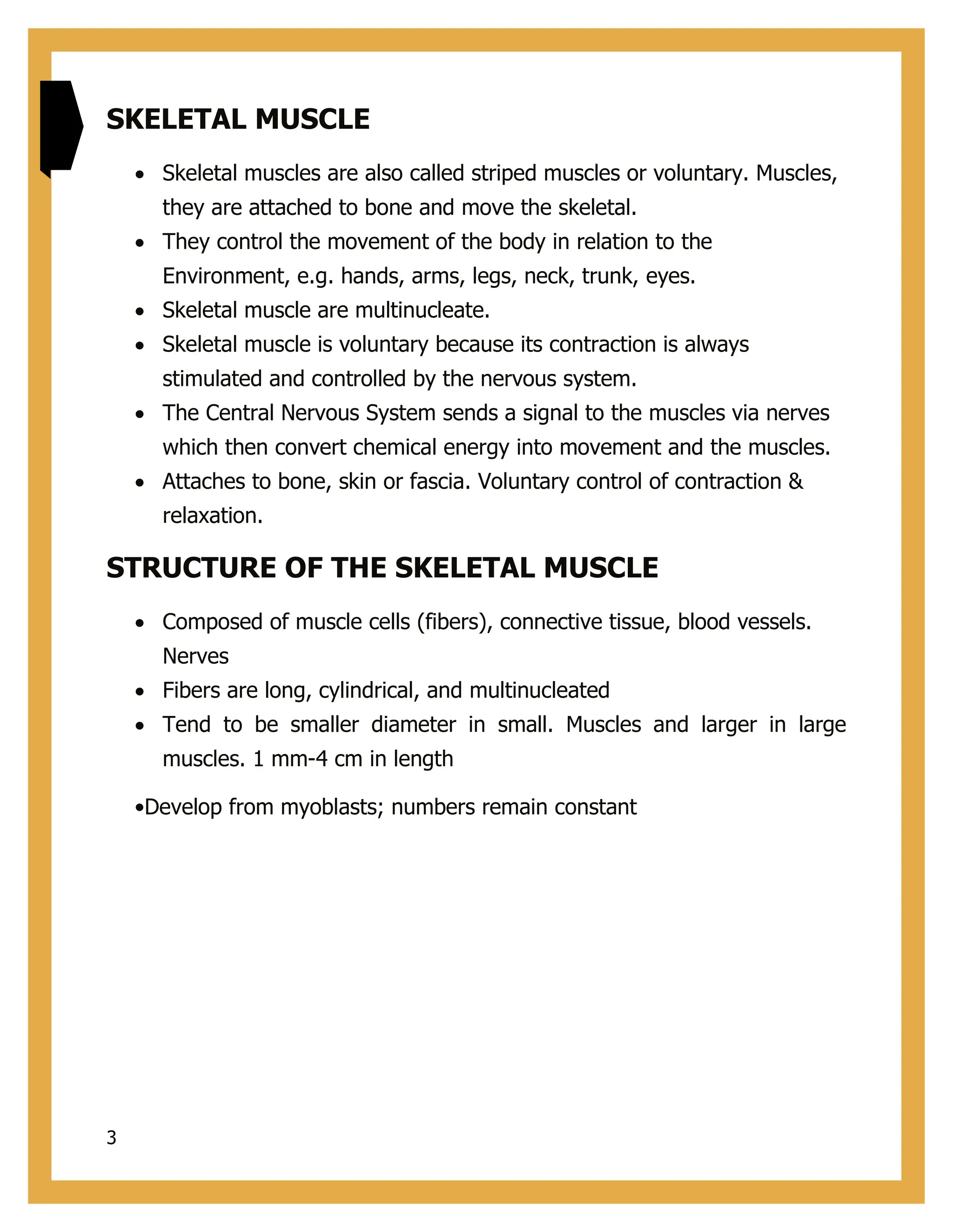 MUSCLE physiology assignment and good notes for exam | DOCX