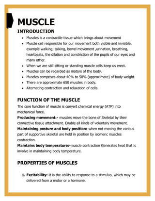 MUSCLE physiology assignment and good notes for exam | PDF