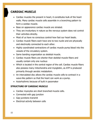 MUSCLE physiology assignment and good notes for exam | DOCX
