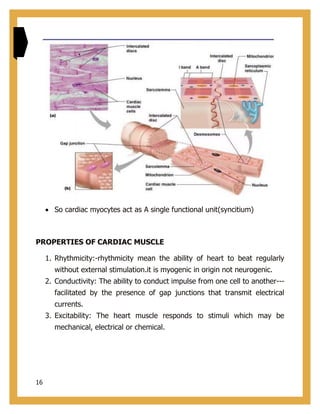 MUSCLE physiology assignment and good notes for exam | DOCX