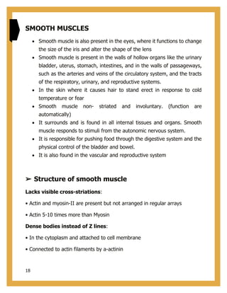 MUSCLE physiology assignment and good notes for exam | DOCX