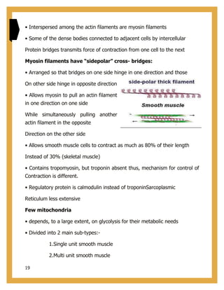MUSCLE physiology assignment and good notes for exam | DOCX