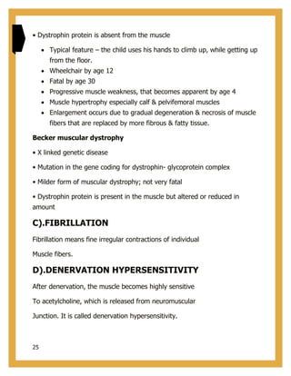 MUSCLE physiology assignment and good notes for exam | DOCX