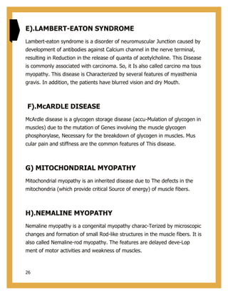 MUSCLE physiology assignment and good notes for exam | PDF