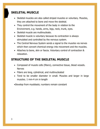 MUSCLE physiology assignment and good notes for exam | PDF