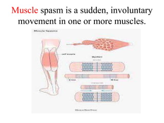 muscle.pptx nursing science healthh care | PPTX