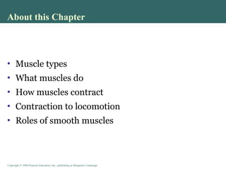 Human Functional Physiology of Muscles.ppt