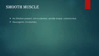 Muscle anatomy, skeletal , smooth,,.pptx