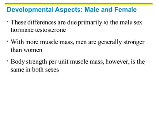 Muscle Development | PPT