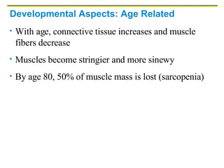 Muscle Development | PPT
