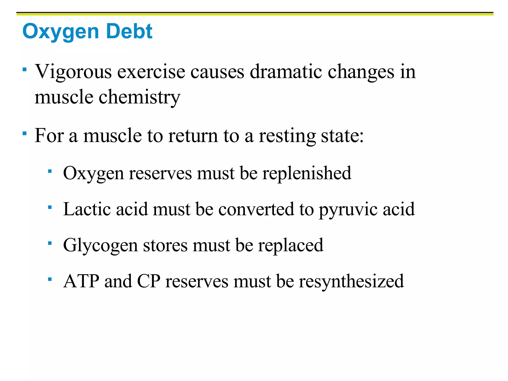 Muscle Energy Systems | PPT