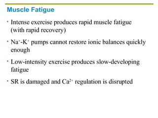 Muscle Energy Systems | PPT