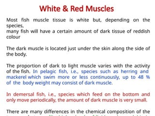 muscle-physiology of fishes updated .pptx