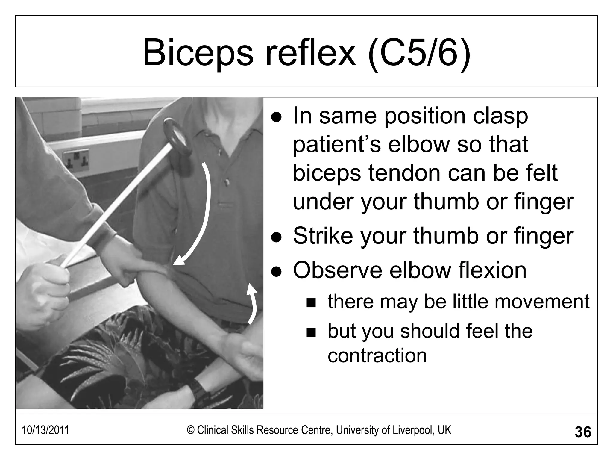 Muscle Power and Tone Examination | PDF