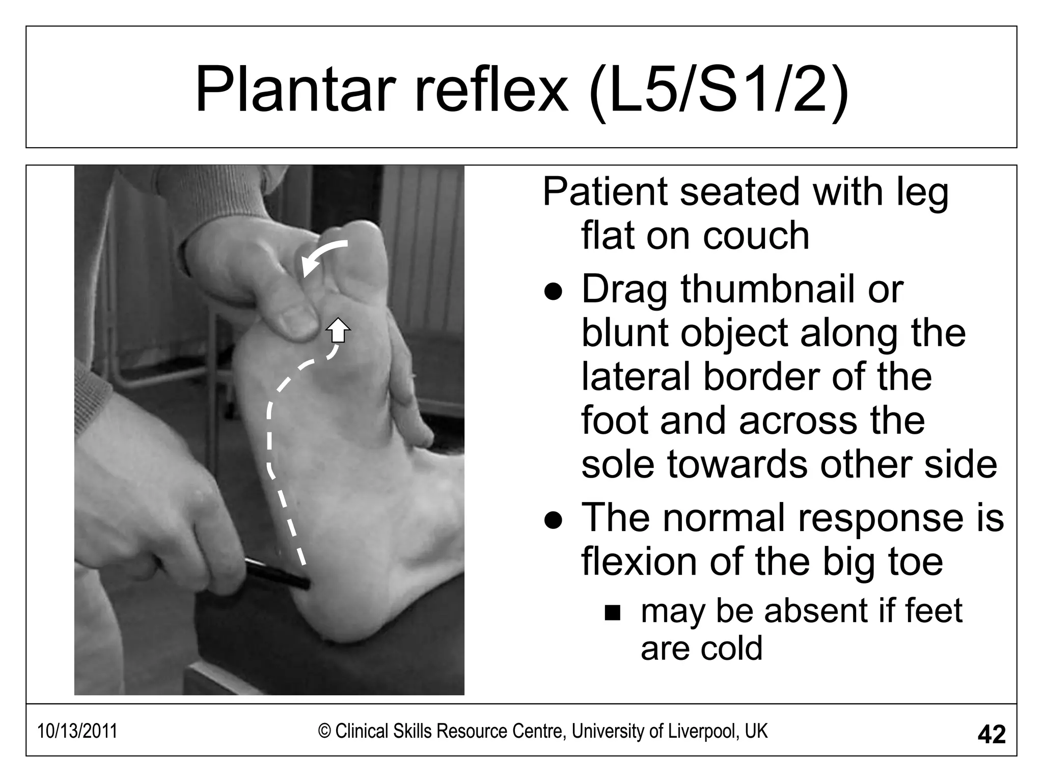 Muscle Power and Tone Examination | PDF