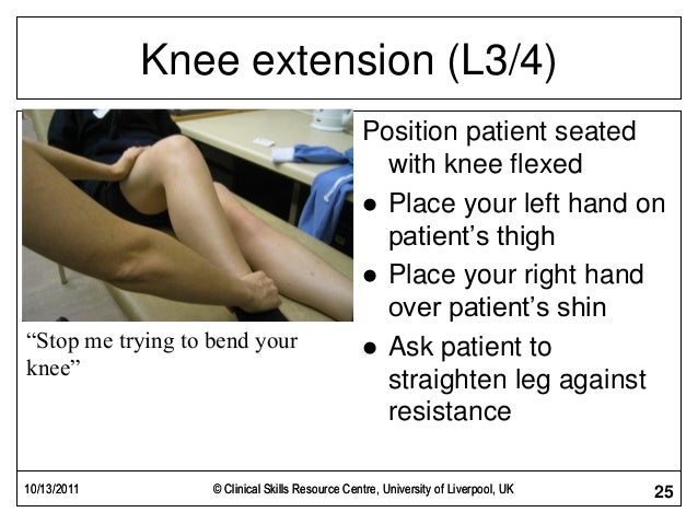 Muscle Power and Tone Examination