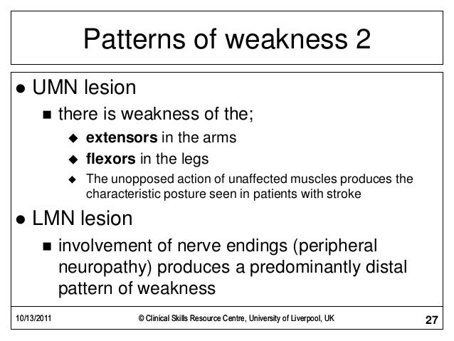 Muscle Power and Tone Examination