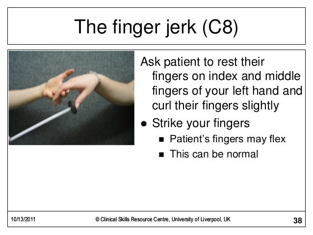 Muscle Power and Tone Examination