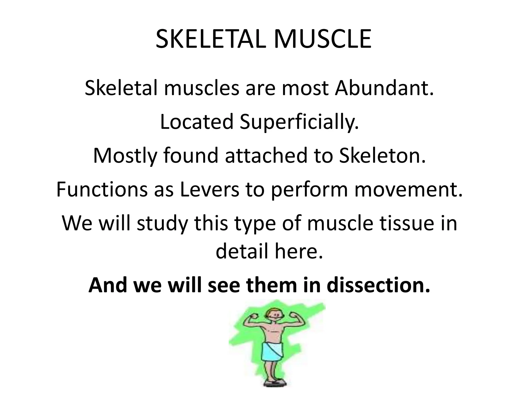 MUSCLE - 15903 by SSG muscle anatomy of upper limb lower limb and all ...