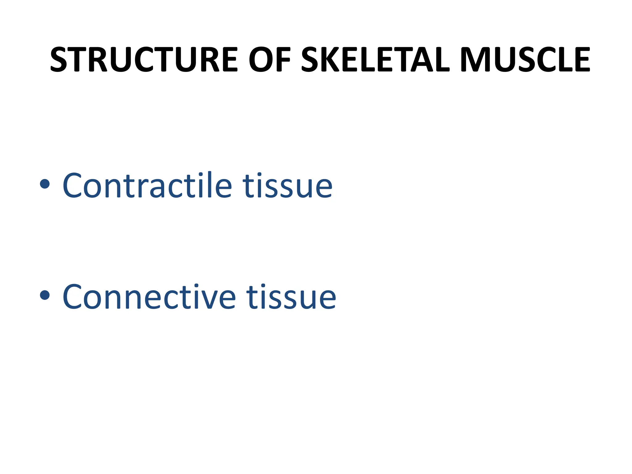 MUSCLE - 15903 by SSG muscle anatomy of upper limb lower limb and all ...