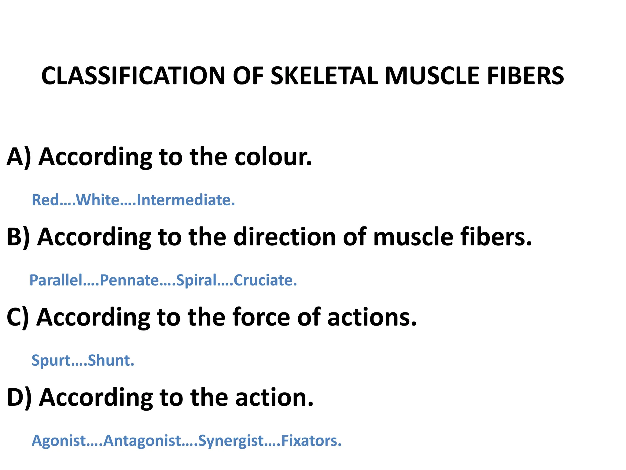 MUSCLE - 15903 by SSG muscle anatomy of upper limb lower limb and all ...