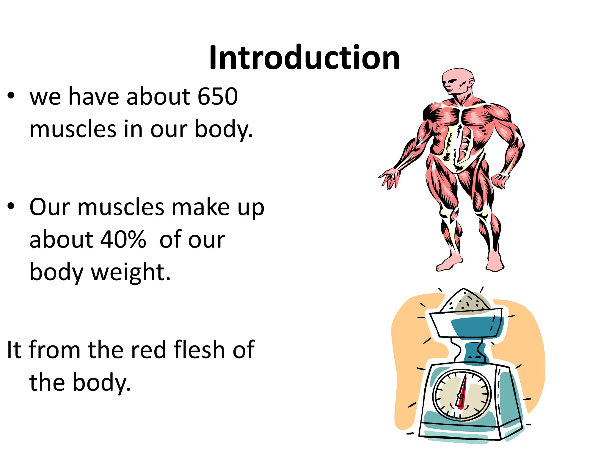 MUSCLE - 15903 by SSG muscle anatomy of upper limb lower limb and all ...