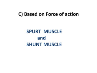 MUSCLE - 15903 by SSG muscle anatomy of upper limb lower limb and all ...