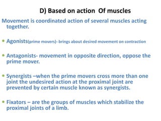 MUSCLE - 15903 by SSG muscle anatomy of upper limb lower limb and all ...