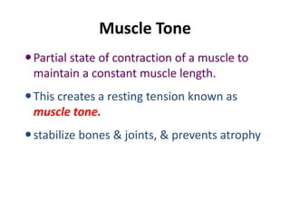 MUSCLE - 15903 by SSG muscle anatomy of upper limb lower limb and all ...