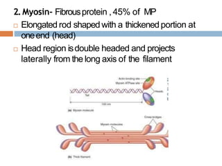 Muscle-strcuture.pptx