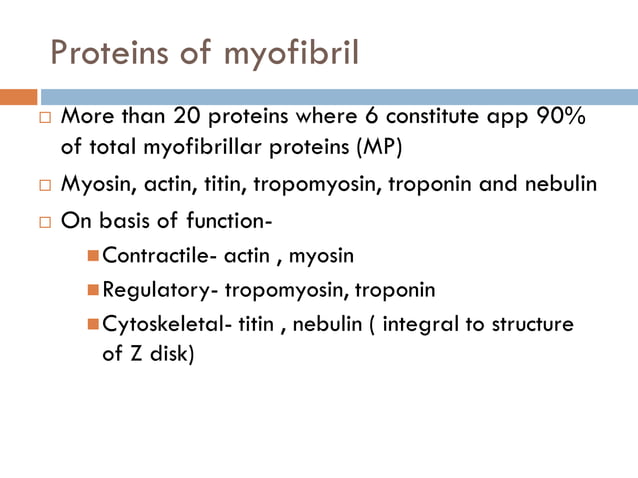 Muscle-strcuture.pdf in which ultrastructure of skeletal muscle is ...