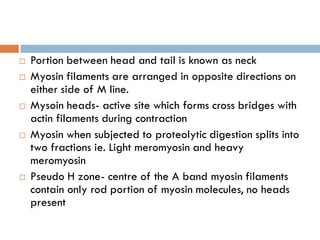 Muscle-strcuture.pdf in which ultrastructure of skeletal muscle is ...