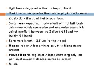 Muscle-strcuture.pdf in which ultrastructure of skeletal muscle is ...