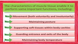 Muscle-Tissues-Lab-12م.-رشا-محمد-شاكر.pdf
