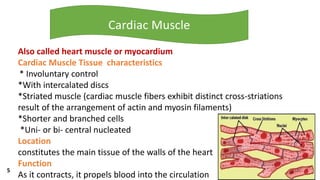 Muscle-Tissues-Lab-12م.-رشا-محمد-شاكر.pdf