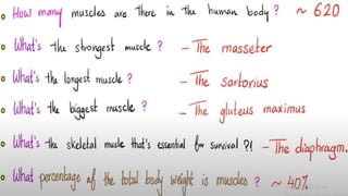 Muscle 1.ppt
