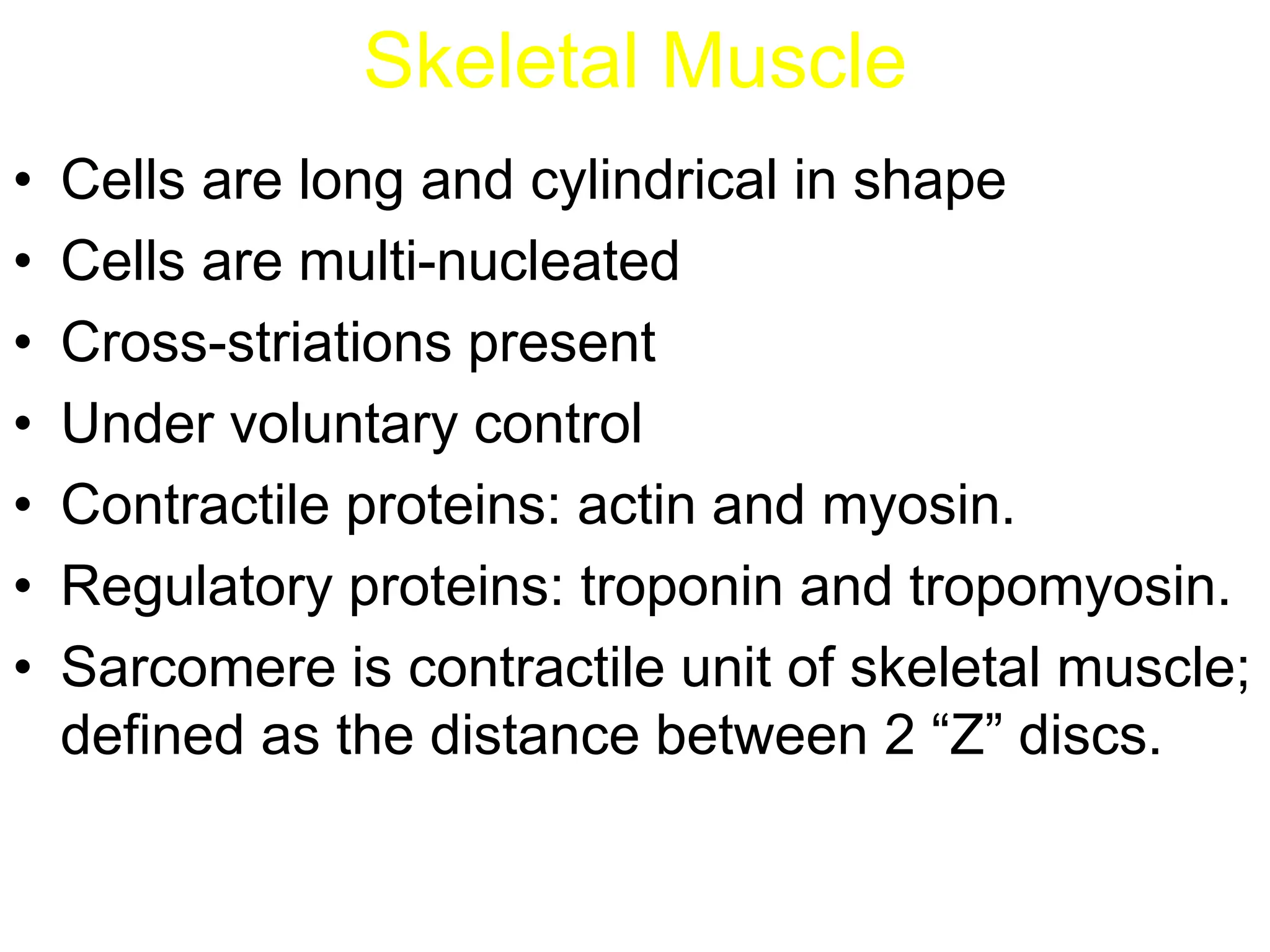 Muscle BSC ZOOLOGY, FUNCTIONS, PROPERTIES, TYPES | PPT