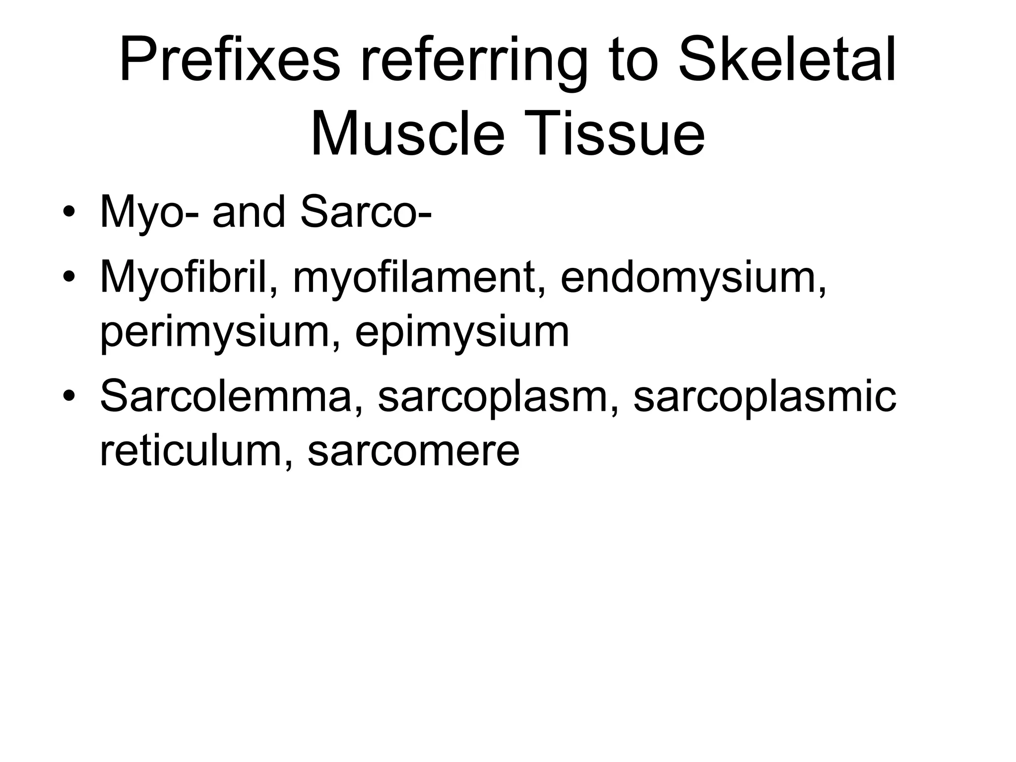 Muscle BSC ZOOLOGY, FUNCTIONS, PROPERTIES, TYPES | PPTX