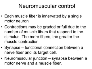 Muscle BSC ZOOLOGY, FUNCTIONS, PROPERTIES, TYPES | PPTX