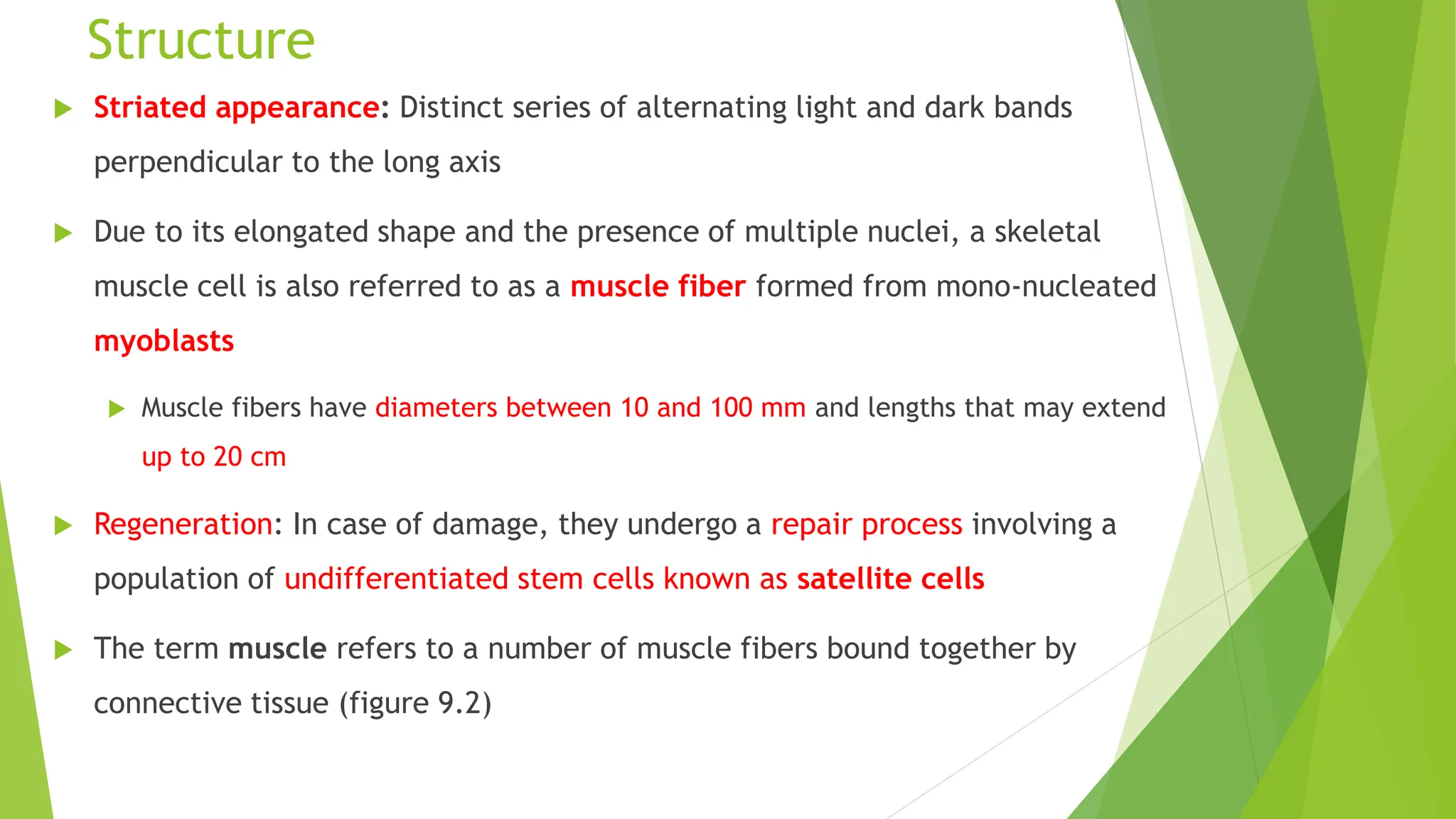 Muscle structure and physiology of muscle contractions, types of muscle ...