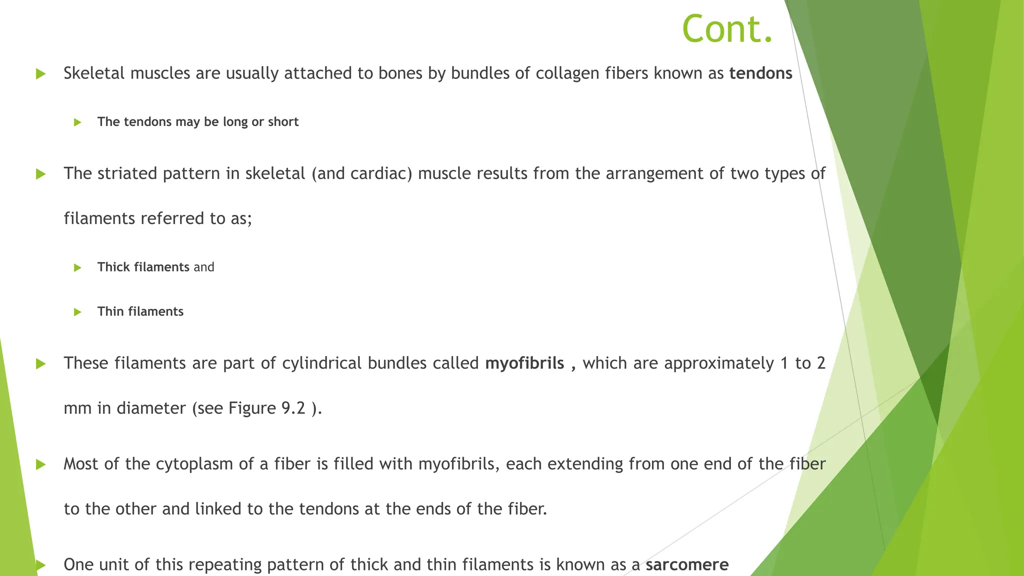 Muscle structure and physiology of muscle contractions, types of muscle ...