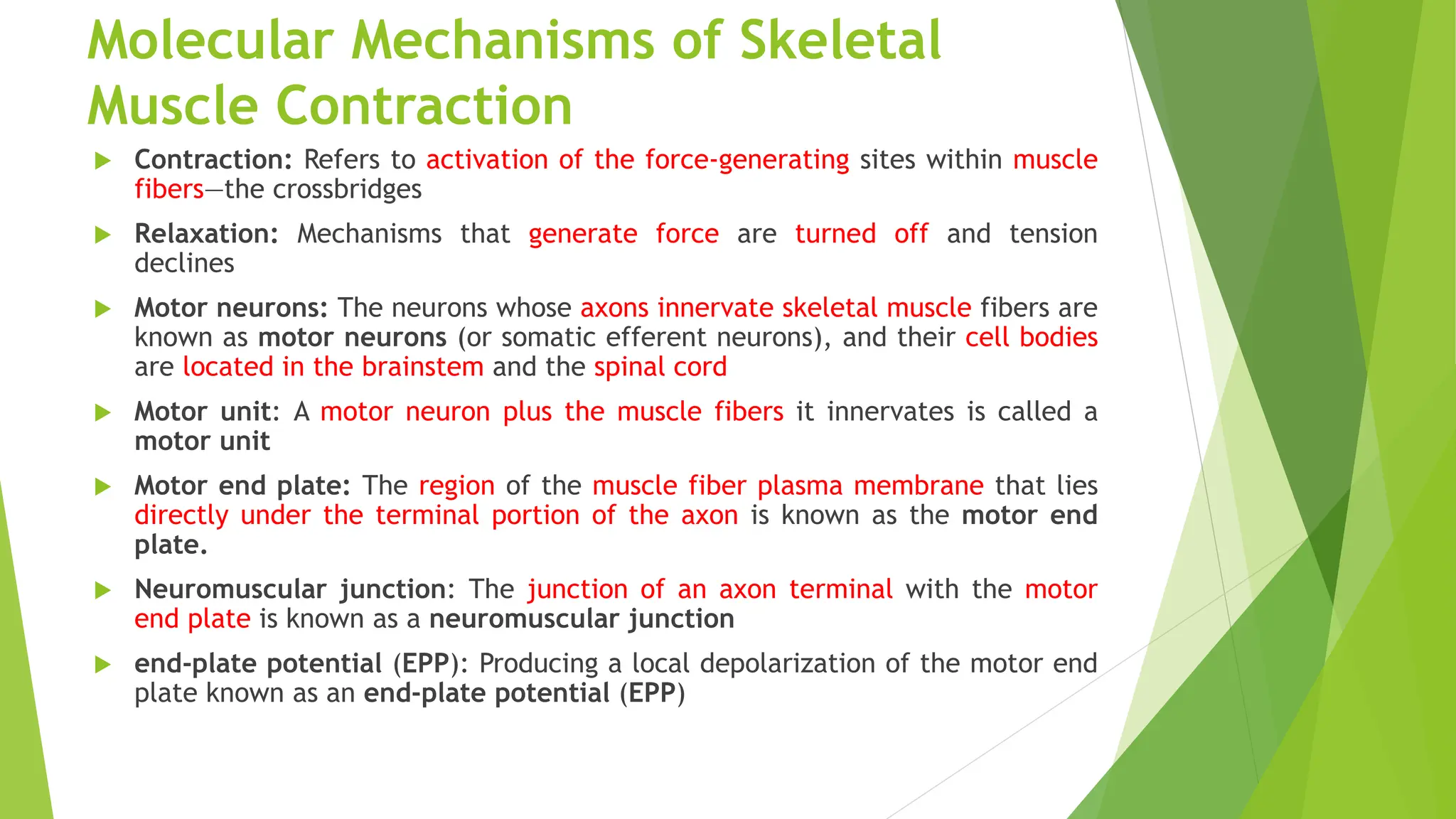 Muscle structure and physiology of muscle contractions, types of muscle ...