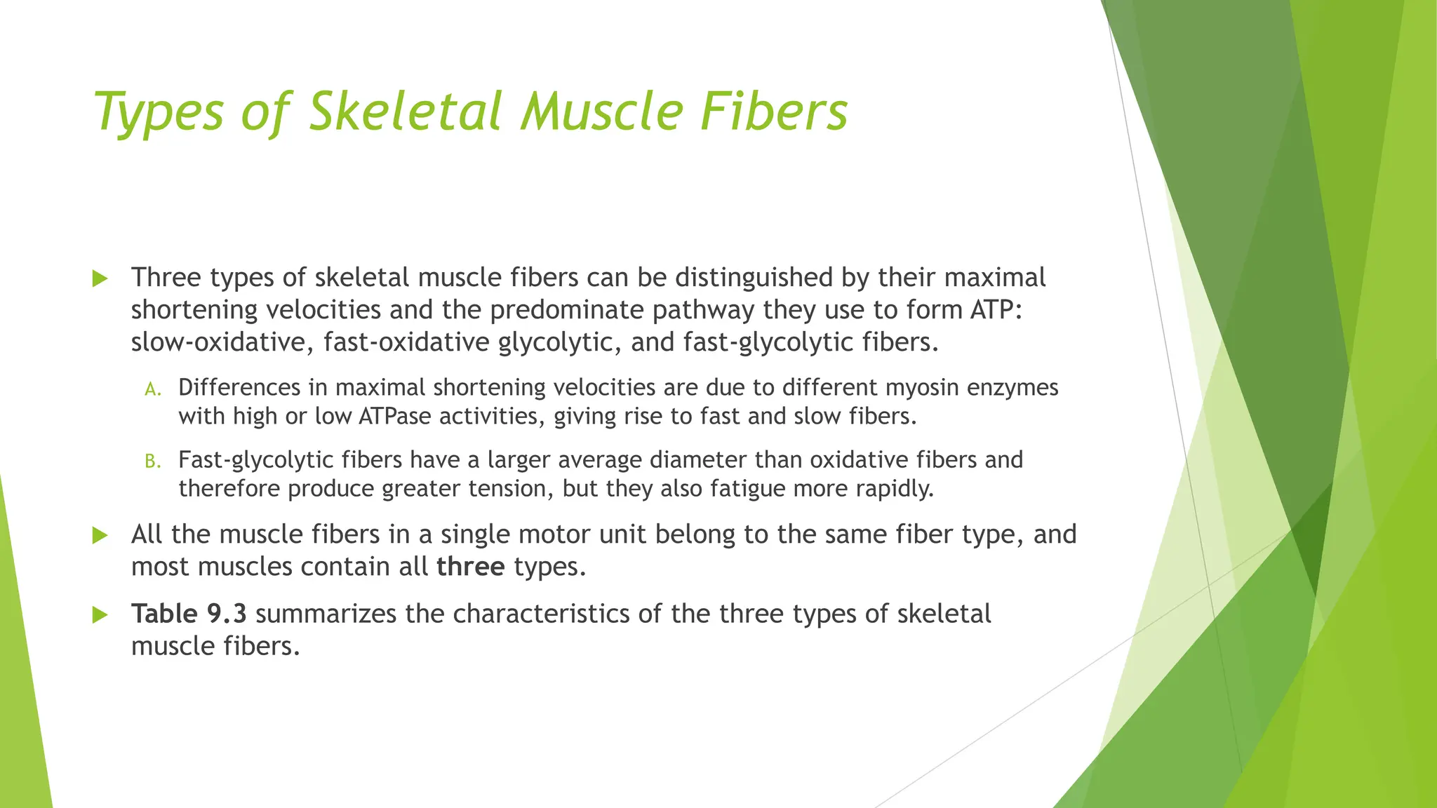Muscle structure and physiology of muscle contractions, types of muscle ...