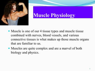 Muscle (1).pdf physiology of the muscle | PDF