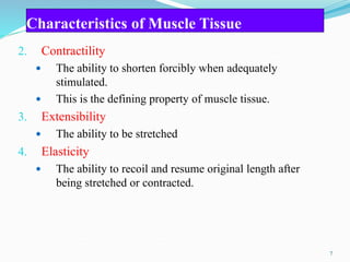 Muscle (1).pdf physiology of the muscle | PDF