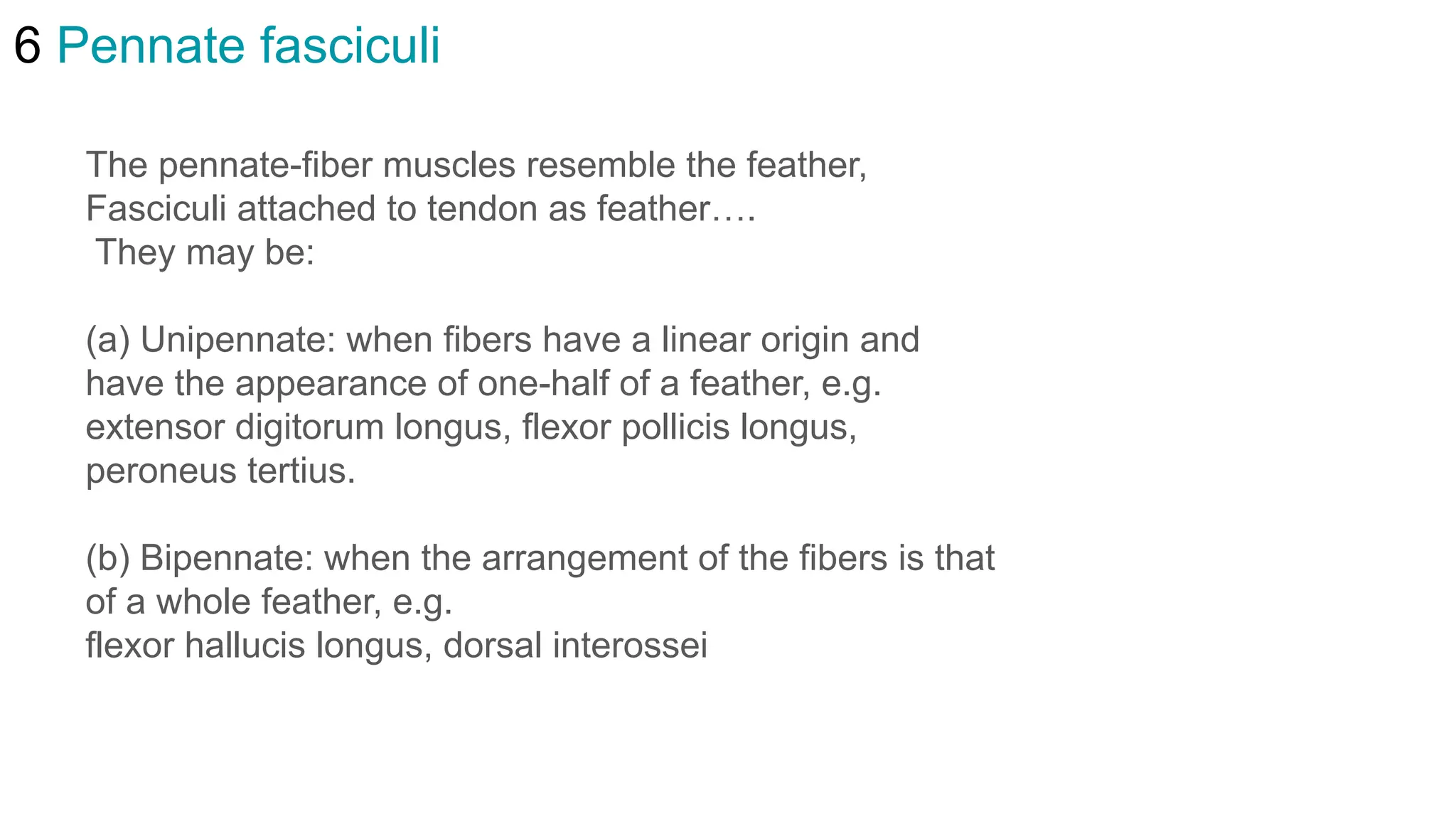 Muscle : it's type and.... Skeleton muscle intro | PDF