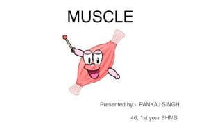 Muscle : it's type and.... Skeleton muscle intro | PDF